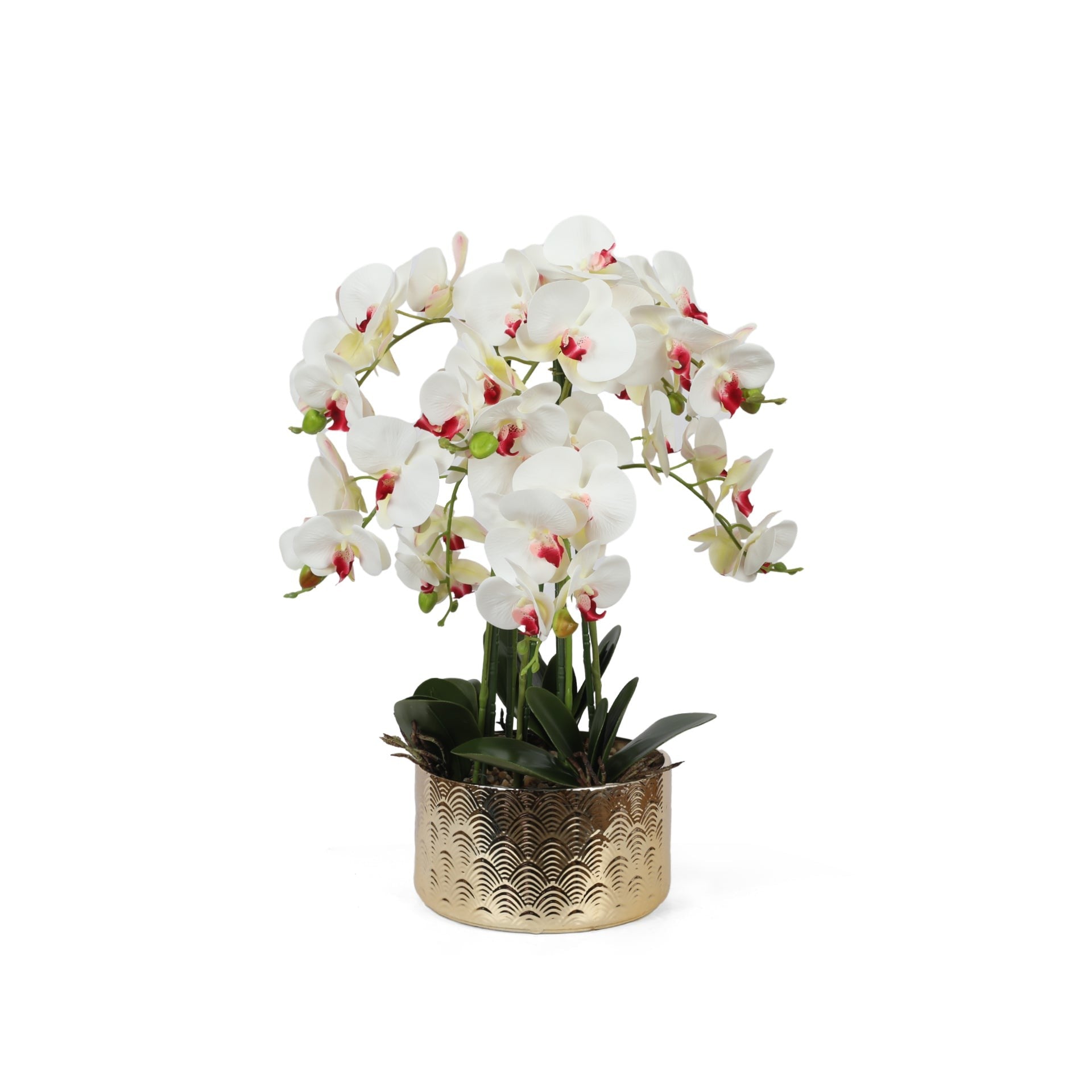 Artificial Orchid with Pot White XL 65cm – Treasurebox